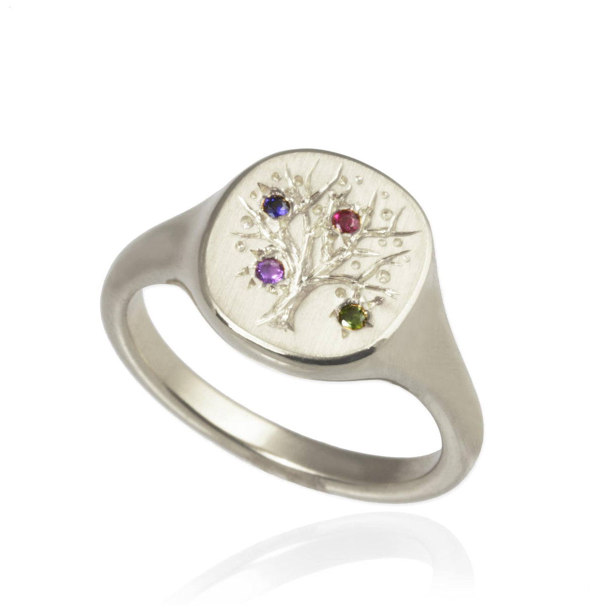 home family tree ring with birthstones