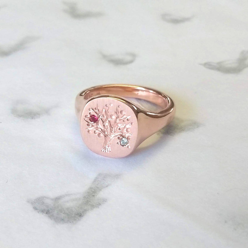 Family Tree Signet Rings | Handmade Jewellery – Jana Reinhardt Ltd